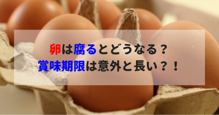 卵は腐るとどうなる？3つの見分け方！賞味期限は長くてびっくり！ 食べいろナビ｜野菜・果物の情報・野菜宅配・季節の食べ物